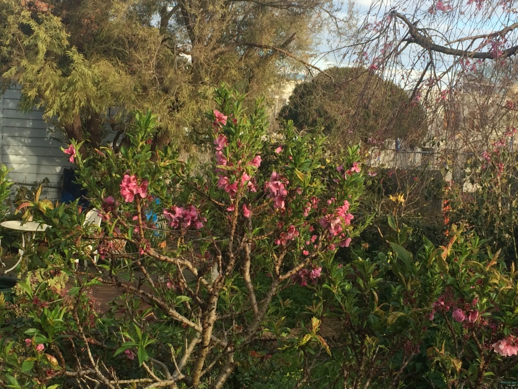 Contact – Miyoga Club