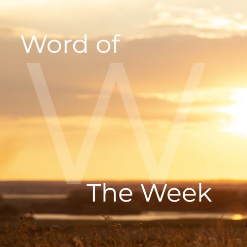 Word of the Week – Miyoga Club